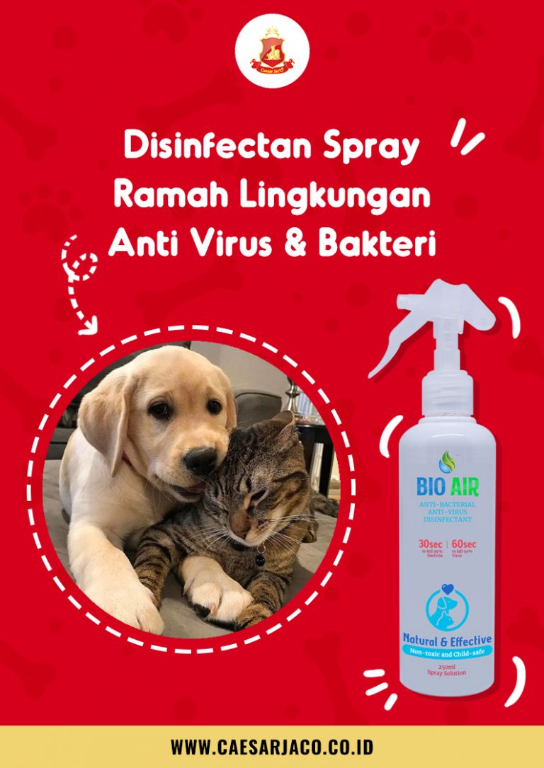 Jual Disinfektan Anti Virus / Bakteri Spray Cair Bio Air | Caesar Jac’O