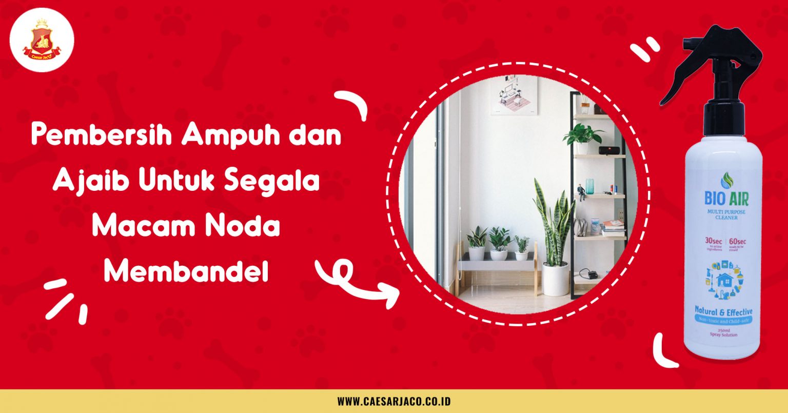 Bio Air - Multi Purpose Cleaner - Caesar Jac’O Kennel & Shop